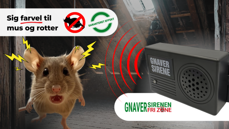 Slip af med mus i sommerhuset | 100 % garanteret effekt