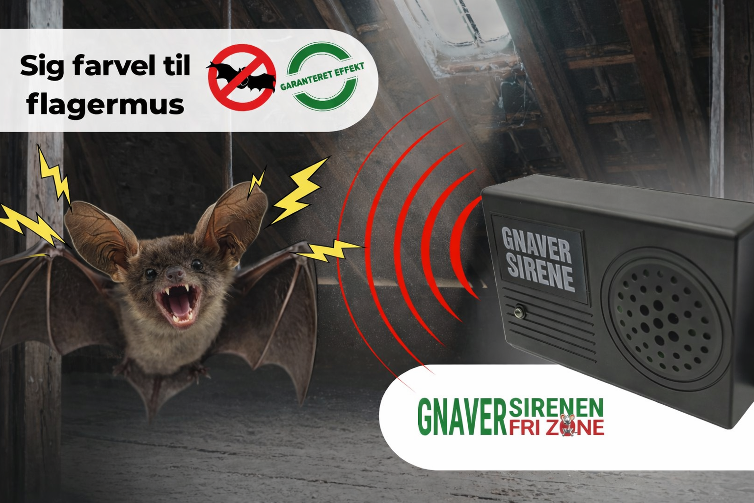 Flagermus på loftet? | 100 % garanteret effekt med Gnaversirenen